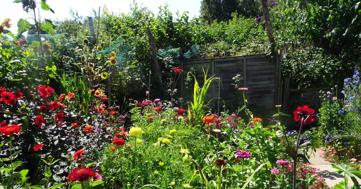 Boundary Way Project Culture Recovery Fund Success | Boundary Way