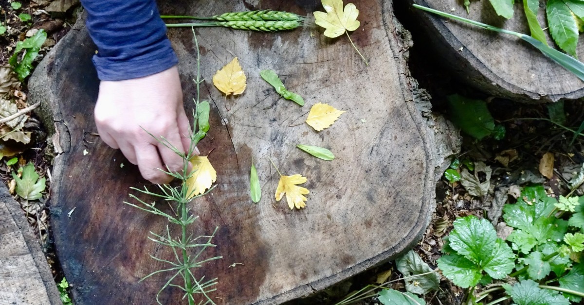 Join the Boundary Way Project for #30DaysWild 2021 | Boundary Way