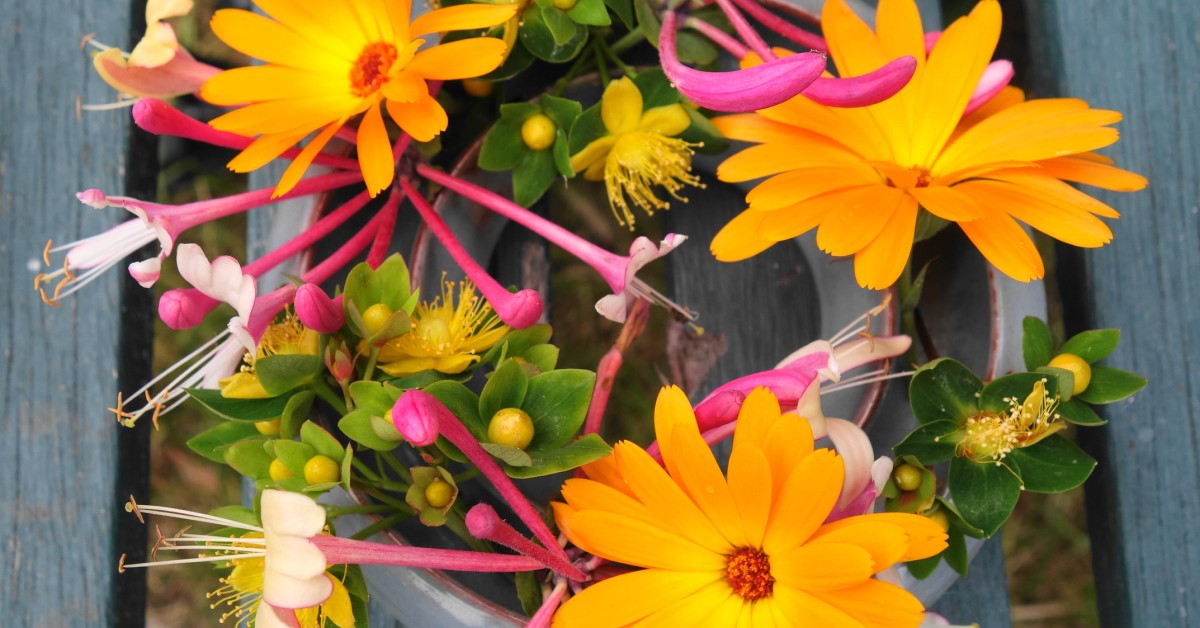 Summer Solstice Folklore Learning & Seasonal Celebrations | Boundary Way