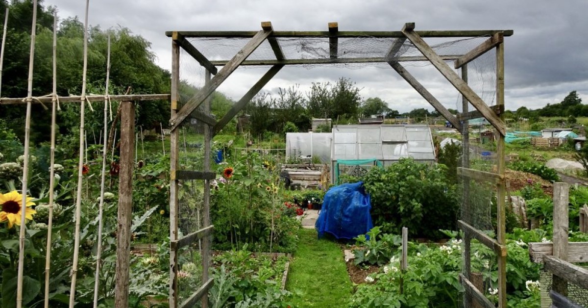 The Boundary Way Project's 2020 Roundup | Boundary Way