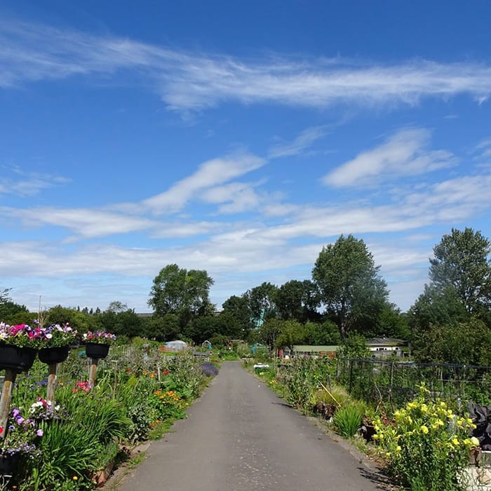 Site rules & guidance | Boundary Way