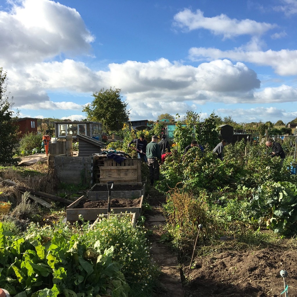 Wellbeing | Boundary Way